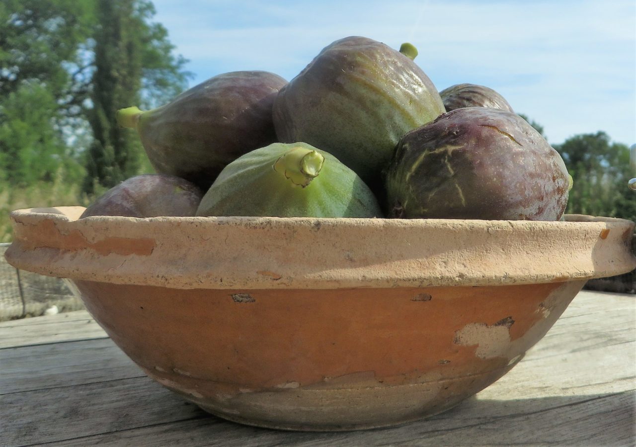 Des figues, c'est la saison, on en profite en cuisine - Terres d'Uzès